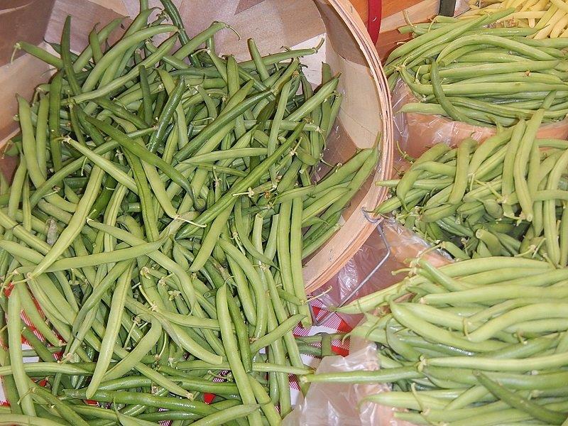 Fresh Homegrown Fruits and Vegetables | Green Acre Farm and Nursery