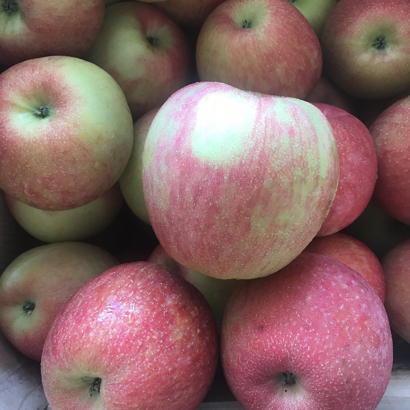 Fresh Homegrown Fruits and Vegetables | Green Acre Farm and Nursery