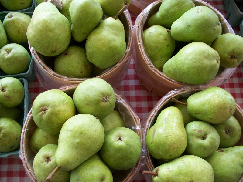 Fresh Homegrown Fruits and Vegetables | Green Acre Farm and Nursery