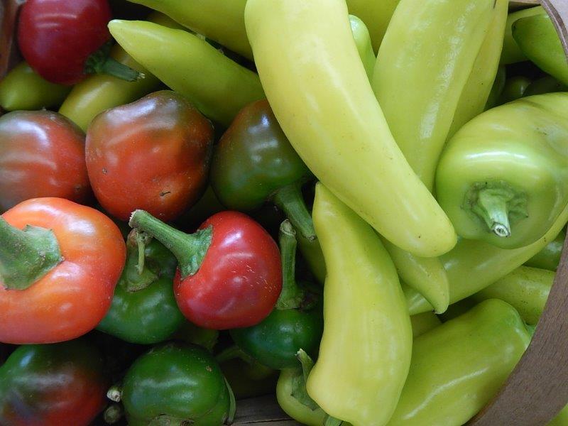 Fresh Homegrown Fruits and Vegetables | Green Acre Farm and Nursery