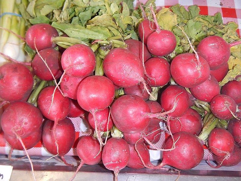 Garden, Goodies & More | Green Acre Farm and Nursery
