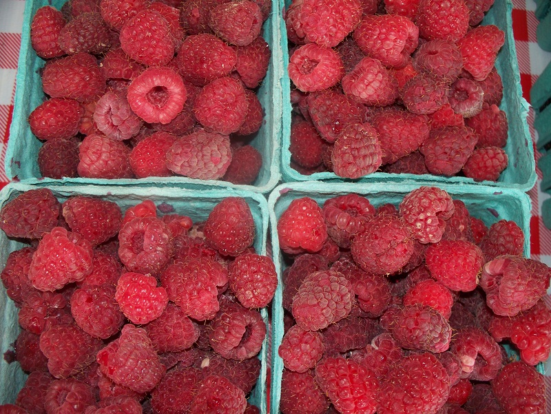 Homegrown Fruits/Vegetables & Local Favorites | Green Acre Farm and Nursery