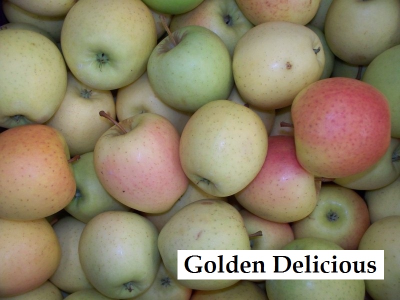 Homegrown Fruits/Vegetables & Local Favorites | Green Acre Farm and Nursery