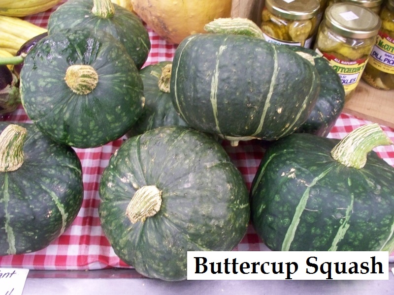 Fresh Homegrown Fruits and Vegetables | Green Acre Farm and Nursery